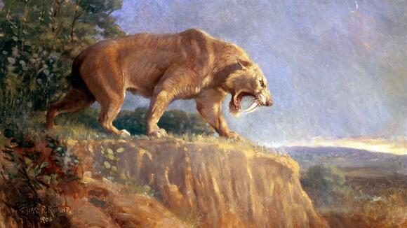 Which 3 Prehistoric Apex Predators Ruled the North American Continent ...