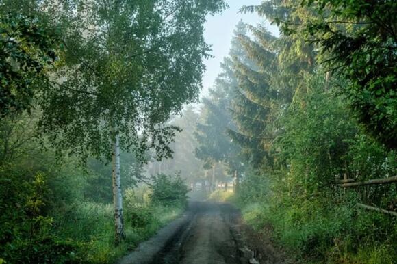 Magnificent Coastal Road Trips in Washington State Off the Beaten Path ...