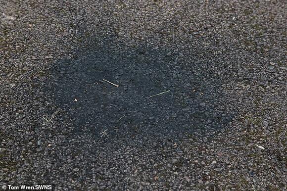 Driveway where 'extremely rare' Winchcombe meteorite worth £100,000 ...