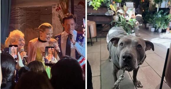 Justin Theroux Proudly Showcases Nicole Brydon Bloom's Bare Baby Bump ...