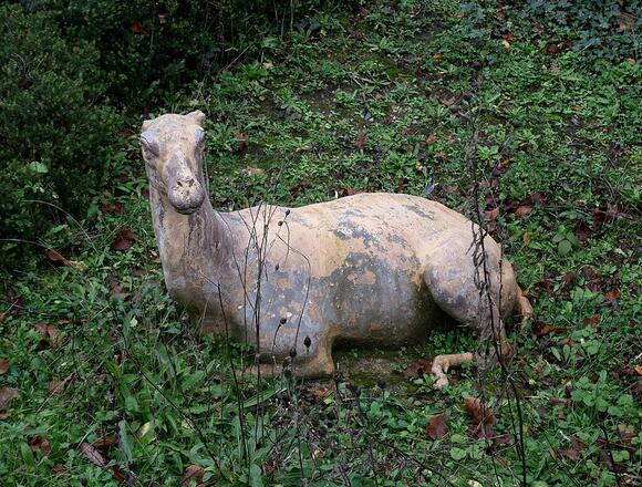 When Dinosaurs Looked Like Scaly Lizards: The Art That Misled a ...