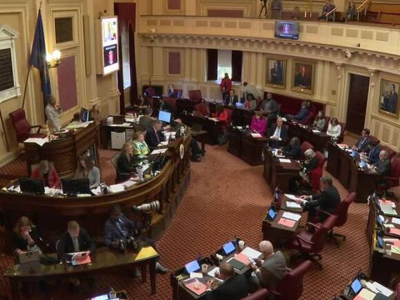 Virginia Senate approves amendment to redraw congressional districts ...