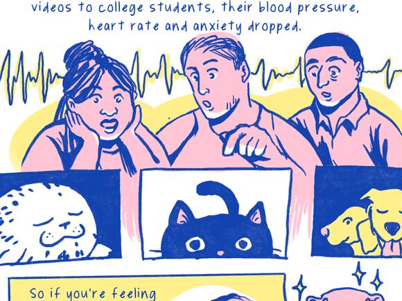 COMIC: Science-backed mood boosters to (almost instantly) snap you out ...