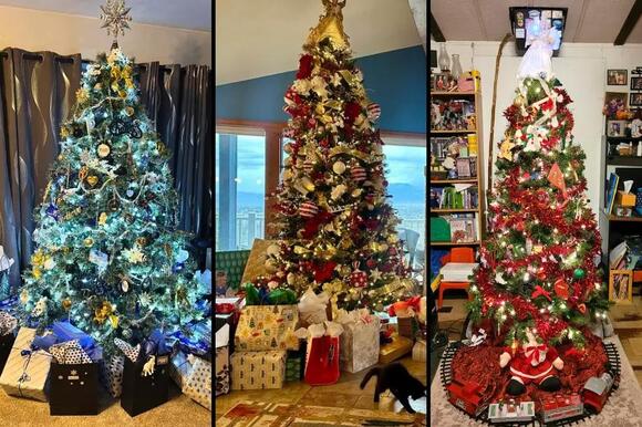 Recycle Your Christmas Tree Without Leaving Town - NewsBreak