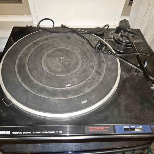 🎁 Freebies Up for Grabs in Upper Dublin Township - NewsBreak