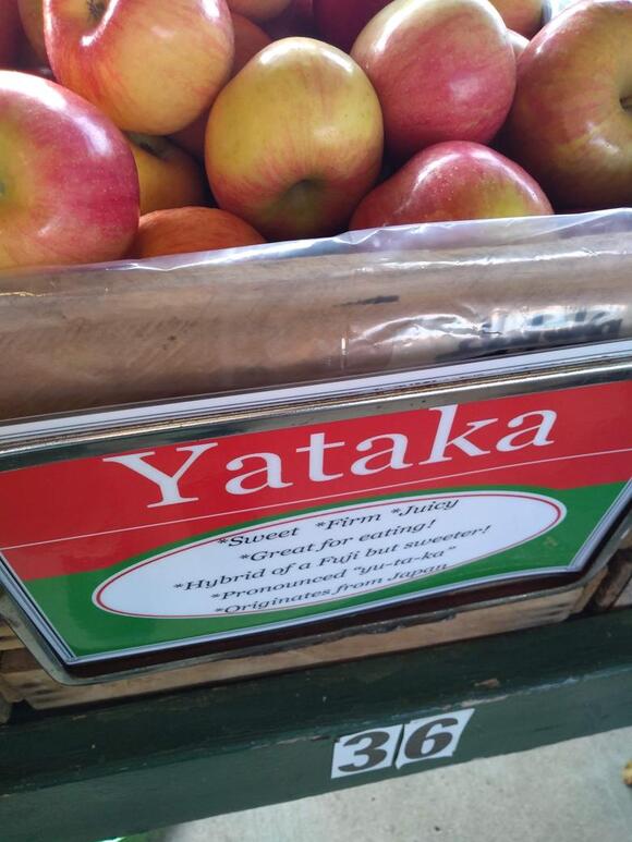 Things to Know About Fuji Apples Before You Buy Them This Season ...
