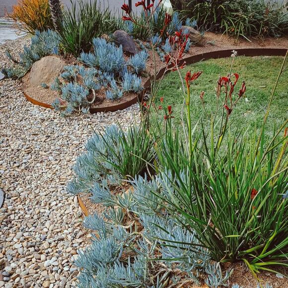 18 Garden Ideas for 2026 Where Corten Steel Edging Replaces Standard ...