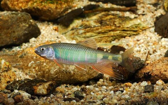 The "Golden Era" Begins Now For 5 Signs Who Survived The Dark Times ...