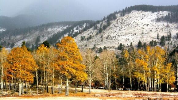 10 US Destinations Where Fall Foliage Is Absolutely Spectacular - NewsBreak