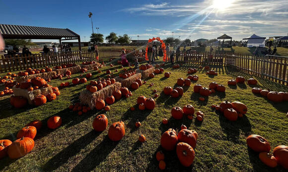 Free Halloween festival Saturday in Apache Junction - NewsBreak