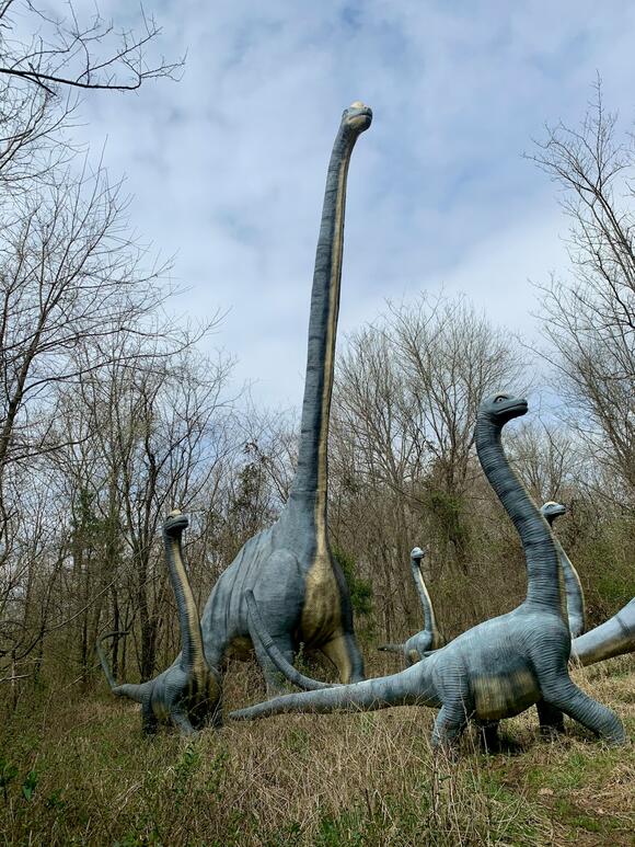 What Dinosaurs Mean to Us Now: From Curiosity to Cultural Icon - NewsBreak