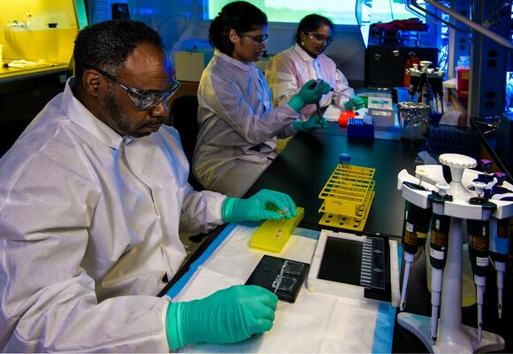 The Role of Gene Synthesis in Advancing Biotechnology: How Custom Genes ...