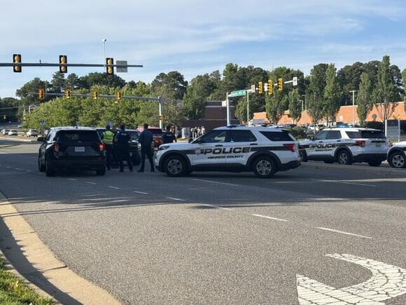 Pedestrian hit and killed by driver during protest near Libbie Mill ...