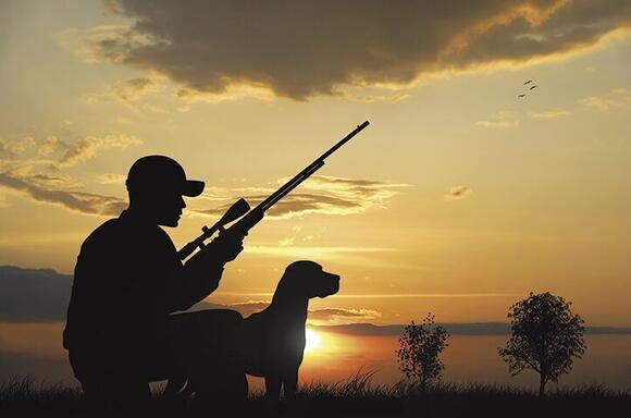 Hunters urged to apply early for controlled and premium hunts ...