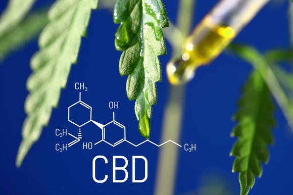 Study Finds CBD Selectively Kills Cancer Cells While Sparing Healthy ...