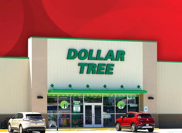 11 Best New Dollar Tree Spring Finds Hitting Shelves This Week - NewsBreak