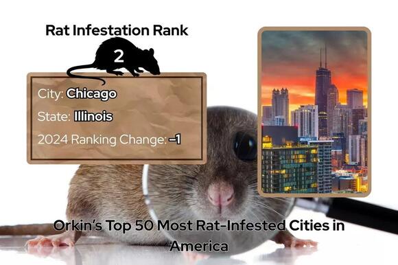 Michigan’s Latest Bug Invader: Spotted Lanternfly Lands in Jackson ...