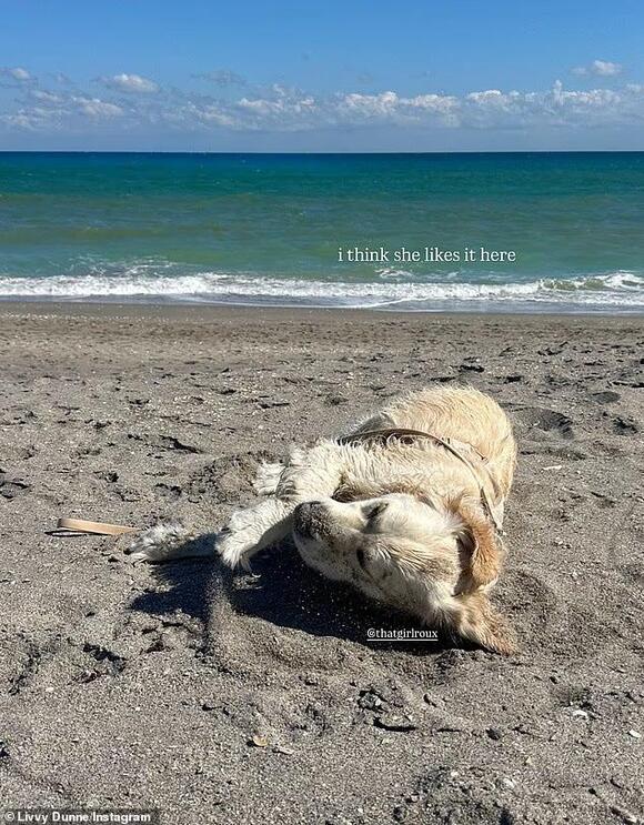 Bikini-clad Livvy Dunne enjoys winter sun on Florida beach after buying ...