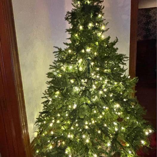 🎁 Freebies Up for Grabs in St. Louis — Furniture, Clothes & More ...