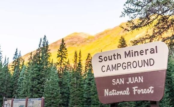 Colorado Drought + Danger to Trees: Not Why You’d Think - NewsBreak