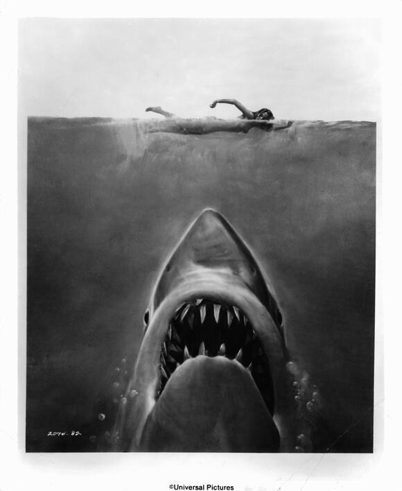 Susan Backlinie, first victim in ‘Jaws’ film, dead at 77 - NewsBreak