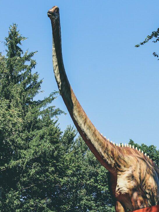 Discover the Fascinating World of Long-Neck Dinosaurs - NewsBreak