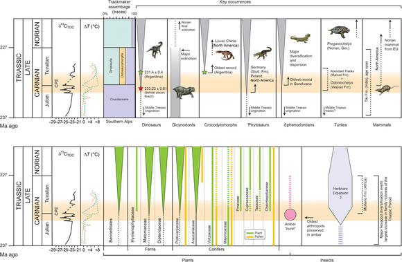 The Mass Extinction Events That Wiped Out 90% of Life — More Than Once ...