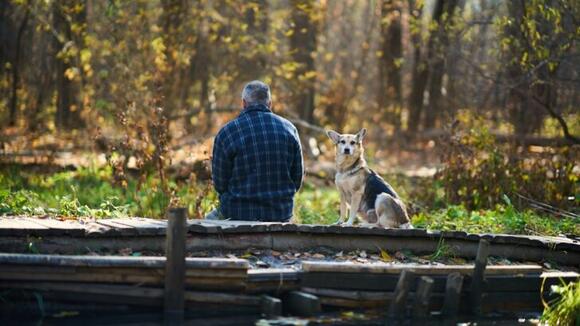 What the Zodiac Can’t Tell You – But Your Spirit Animal Can - NewsBreak