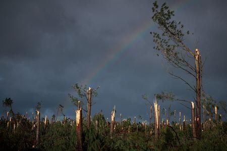 Portugal counts multi‑billion‑euro damage after Storm Kristin tears off ...