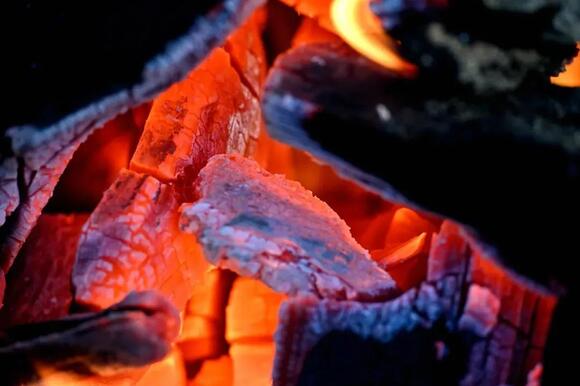 How Did Early Humans Survive the Ice Age? Unraveling Ancient ...