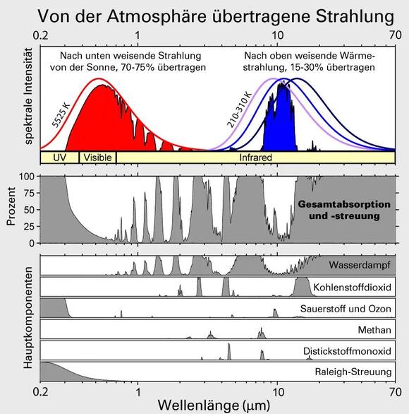 Scientists Discovered a New Color in Nature — And It’s Only Visible in ...