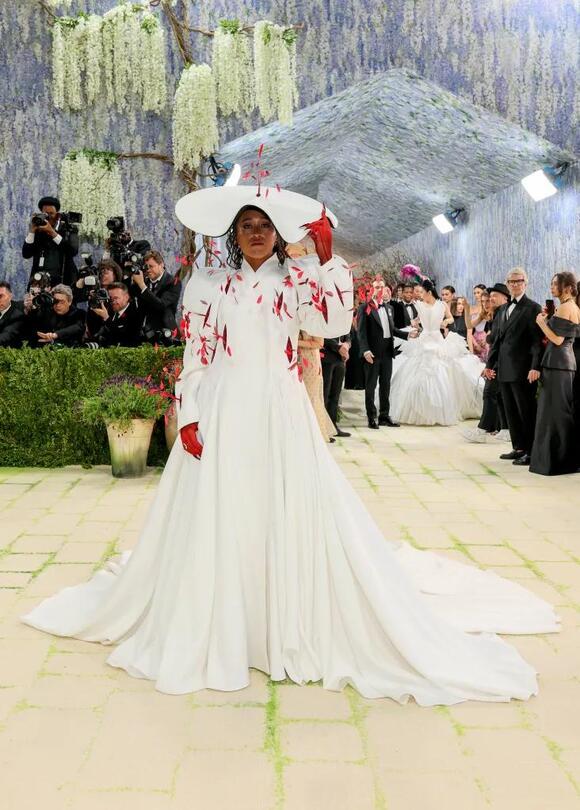 Team USA Earned Gold on the Met Gala 2026 Red Carpet: Here is a Glimpse ...
