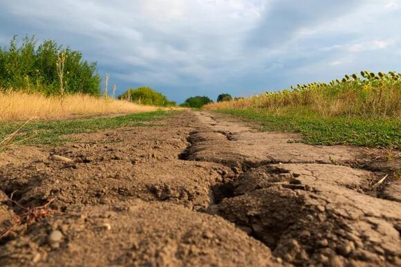 Despite recent rain, a large portions of Minnesota remains under ...