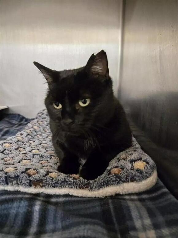 Early Morning Fire Destroys Building on East Yellowstone Highway ...