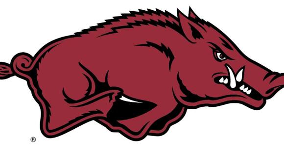 ⚾ Arkansas names Gabe Gaeckle as Friday starter vs. Missouri State ...