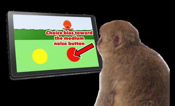 Scientists stumped as monkeys play video game without expecting reward ...