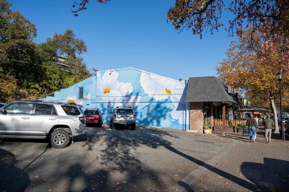 Beautiful New Mural Graces Downtown Lafayette, in Photos - NewsBreak