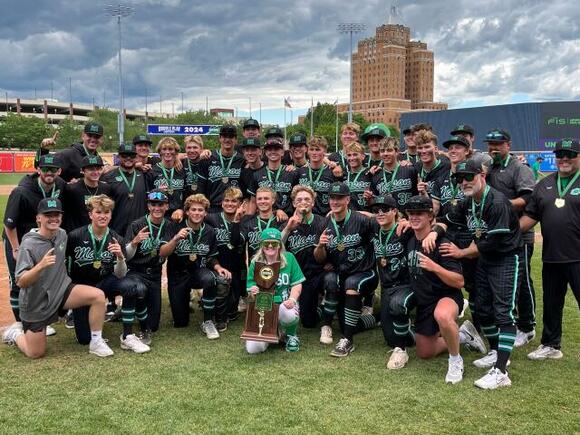 State champion Mason High School baseball team ranked 12 nationally by ...