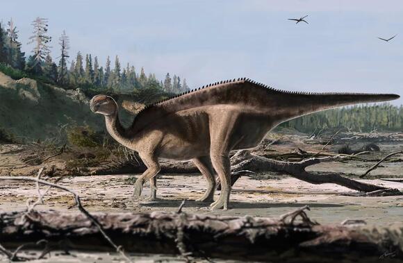 13 Things Dinosaur Fossils Quietly Revealed in the Last 10 Years That ...