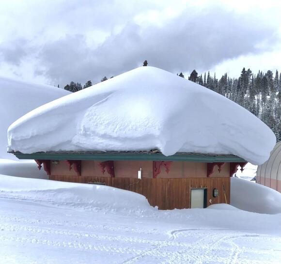 BREAKTHROUGH: Scientists Discover Snow Actually Gets Tired!? - NewsBreak