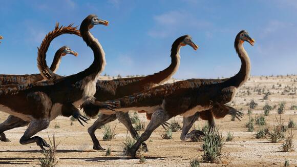 What Was The Fastest Dinosaur? - NewsBreak