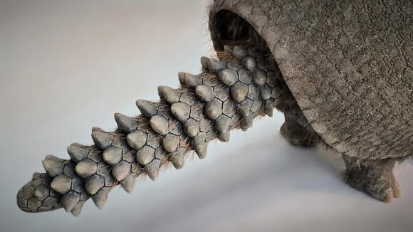 The Glyptodon Was a Giant Armadillo as Big as a Car - NewsBreak