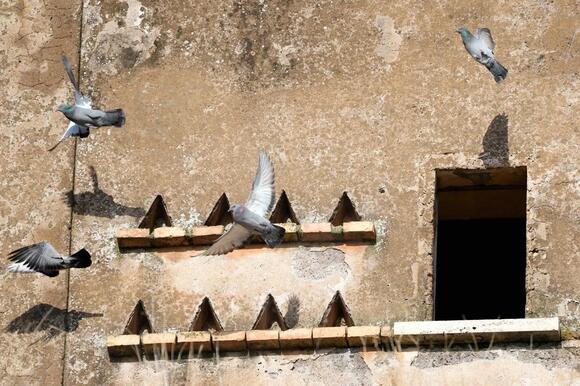The travertine quarries that built ancient Rome are carving rock for a ...