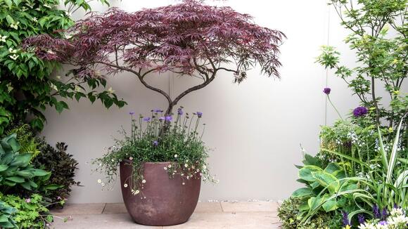ALDI’s $15 Tall Fluted Planters Tap Into One of This Year’s Biggest ...