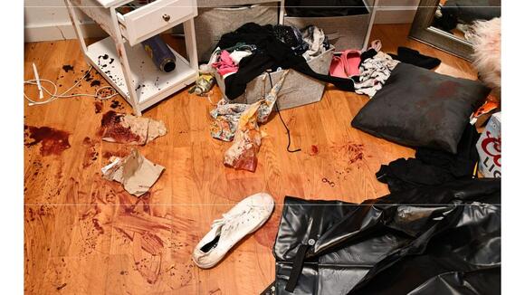 Autopsy reports reveal brutality of murders of four University of Idaho ...