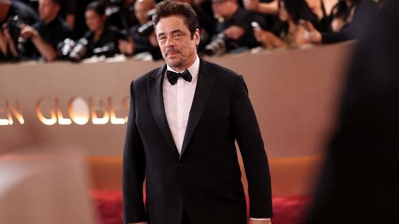 Benicio Del Toro Almost Missed Out on This Oscar-Nominated Movie ...