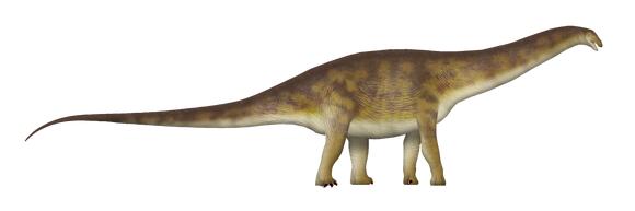 When Fossils Go Wrong: What Mistakes Can Teach Us About the Process ...