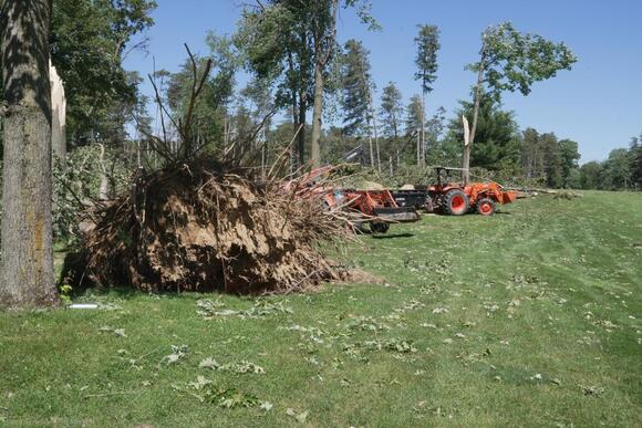 Fairways buried in fallen trees after powerful storm hits Alto golf ...