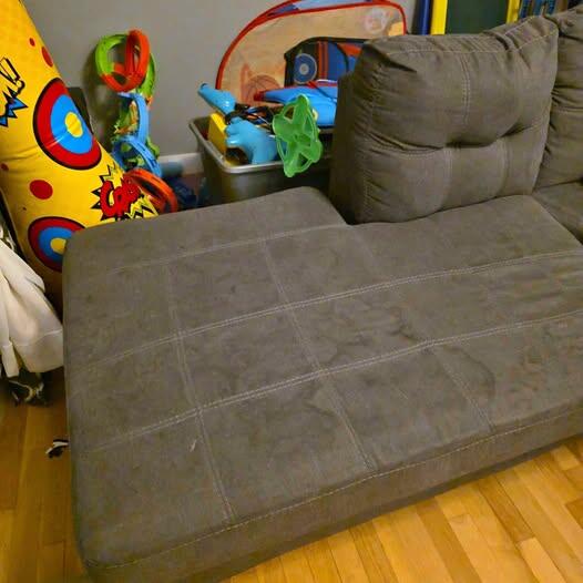 🎁 Freebies Up for Grabs in Columbia — Furniture, Plants & More - NewsBreak