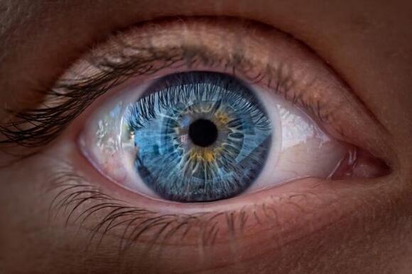 Why Is Eye-Disease-Focused Harrow Stock Falling Today? (UPDATED ...